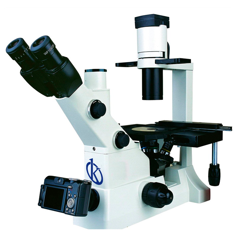 Microscope Inversé YR0245 - Kalstein